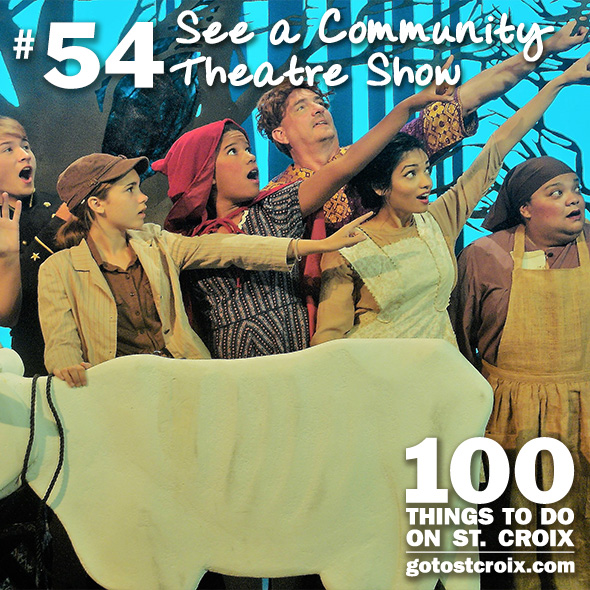 Blog, Supporting Caribbean Community Theatre | GoToStCroix.com