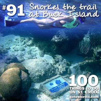 Blog, Snorkel the Buck Island Reef Underwater Trail | GoToStCroix.com
