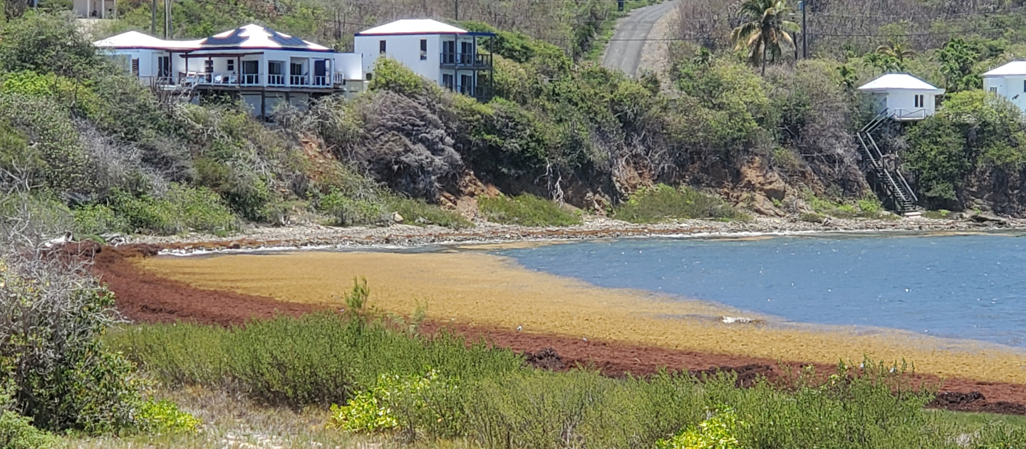 Interest Guides, St. Croix Nature | GoToStCroix.com